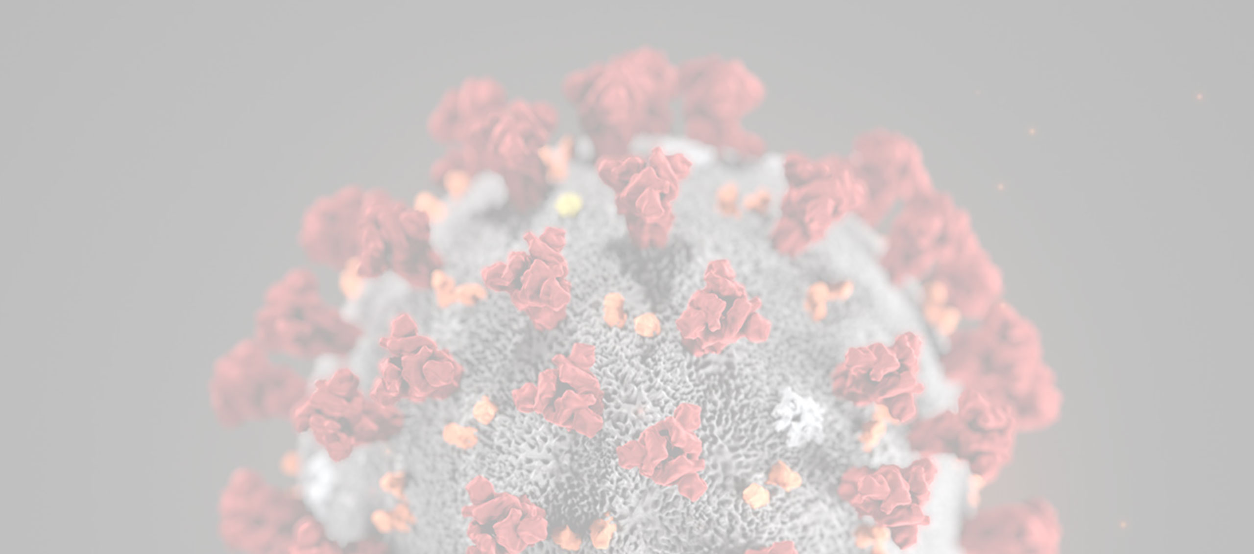 First Cardiology Consultants Hospital