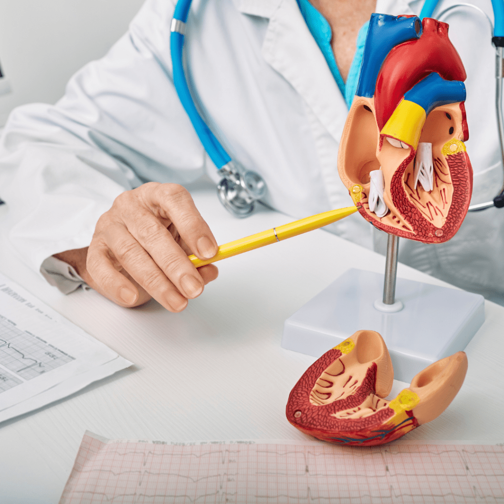 General Cardiology - First Cardiology Consultant